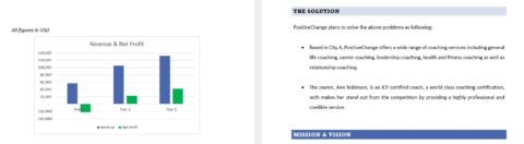 Life Coach Business Plan Template Word - Life Coach Financial Plan Excel