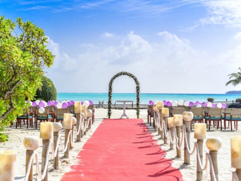 Wedding Venue Financial Plan Template [2024 Guide] - Excel Financials