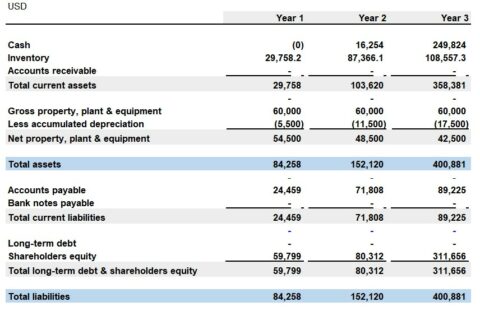 Convenience Store Financial Plan Template [2024 Guide] - Excel financials