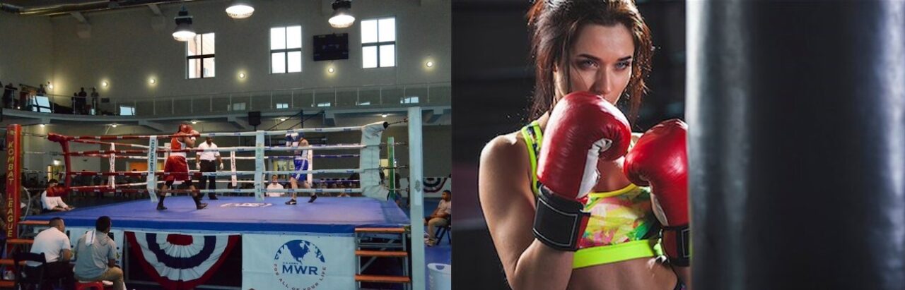 Boxing Gym Business Plan Template Word - Boxing Gym Financial Plan Excel