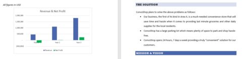 Convenience Store Business Plan Template Word - Convenience Store ...