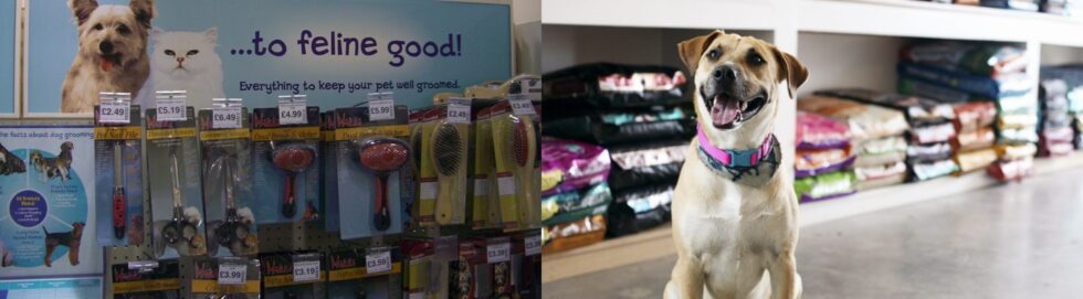 Pet Store Business Plan Template - Pet Store Financial Plan