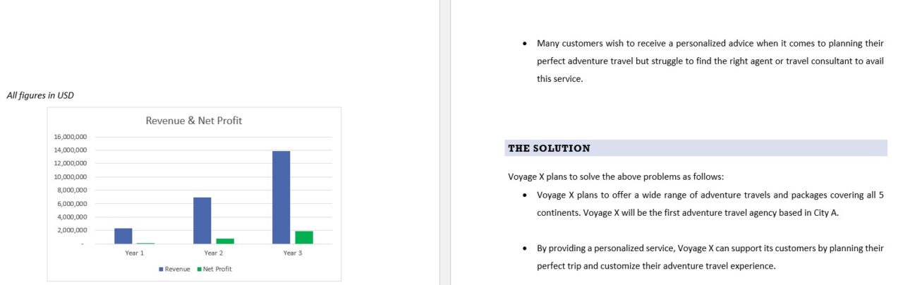 Travel Agency Business Plan Template - Travel Agency Financial Plan