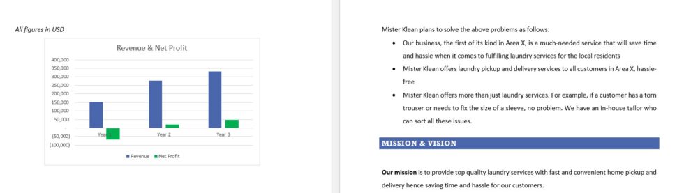Laundry Business Plan Template Word - Laundry Financial Plan Excel