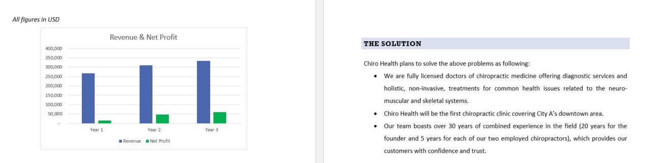 Chiropractic Business Plan Template Word | Chiropractor Financial Plan ...