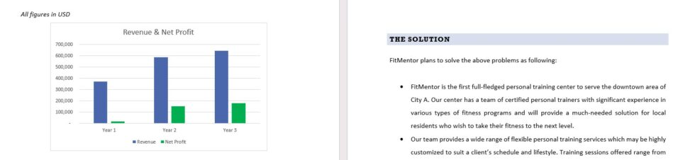 Personal Training Business Plan Template - With Excel Financial Plan