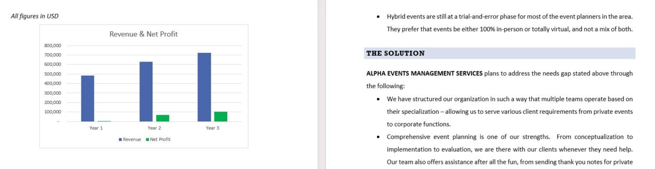 Event Planning Business Plan Template - With Financial Plan in Excel