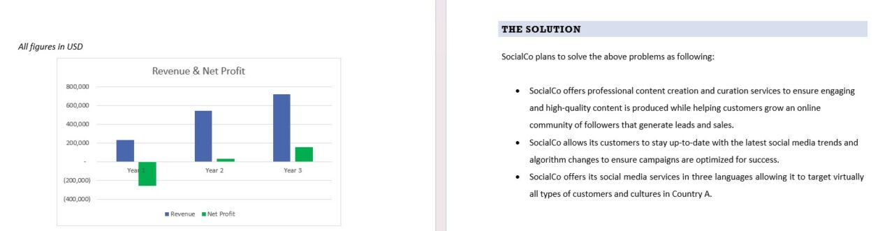 Social Media Marketing Agency Business Plan Template - With Excel ...